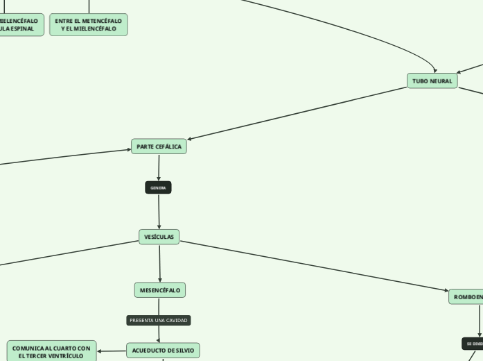 3° SEMANA - Mind Map
